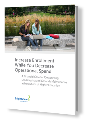 Higher Education Landscape Research Study